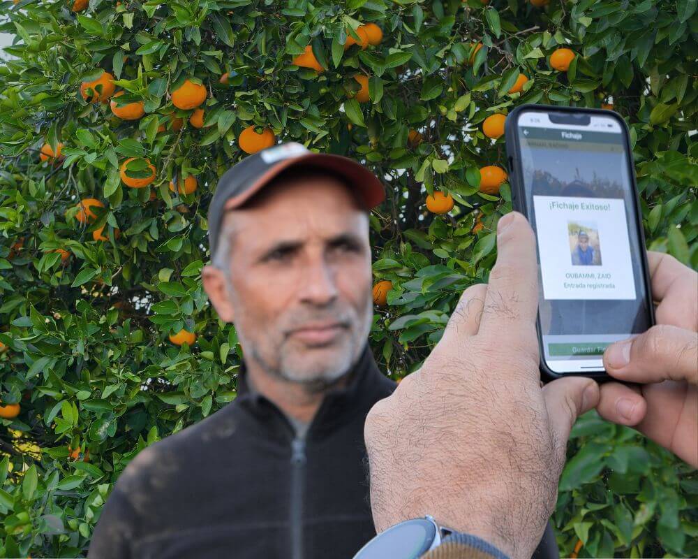 Control horario fichaje agricultura - 🌱 RawData | Software 360º para gestión agrícola y de personal