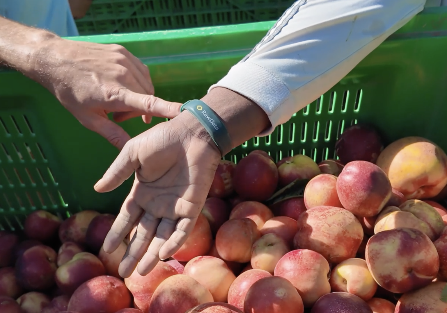 Innovaciones y Tendencias: La Agricultura del Futuro en el Horizonte 2030 - 🌱 RawData | Software ...