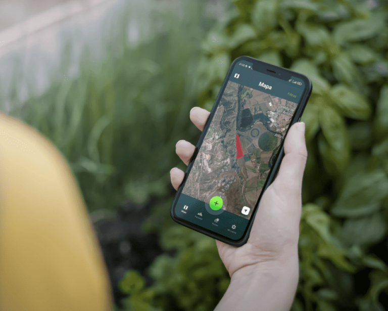 Guía Completa de Tipos de Abonos: Orgánicos, Químicos y sus Usos en la ...